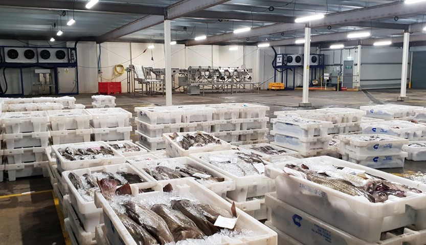 Temporary Cold storage in Scotland- Scalloway Market Case Study
