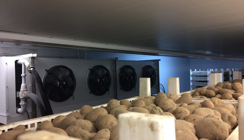 Chilled Storage hire for Seed Potatoes-Climate Rentals Case Study