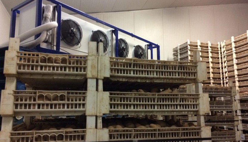 Cold Store Rental for Potato's- Chilled Storage Case Study- ACRltd