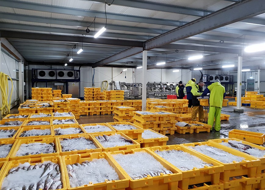 Industries We Work In- Cold Storage and Chilled Logistics- ACRltd