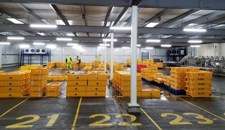 Temporary Cold Storage Hire- All Sorts of Options for You Here