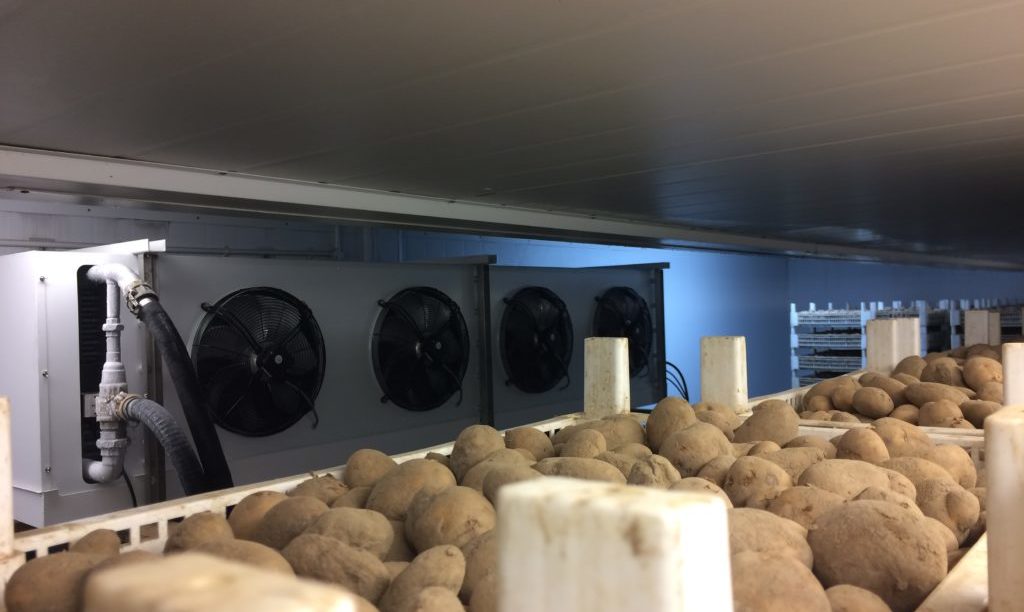 Chilled Storage hire for Seed Potatoes-Climate Rentals Case Study