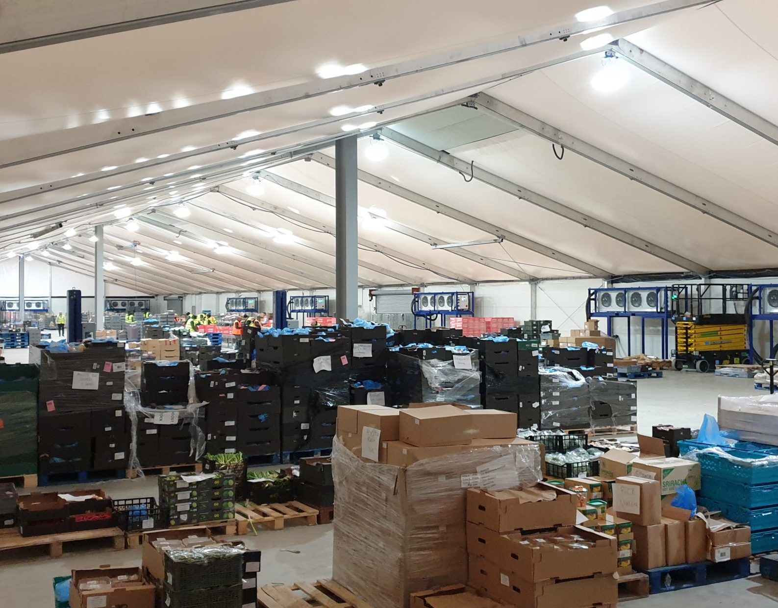 Chilled Logistics- What Cold Chain Logistics Is and The Benefits